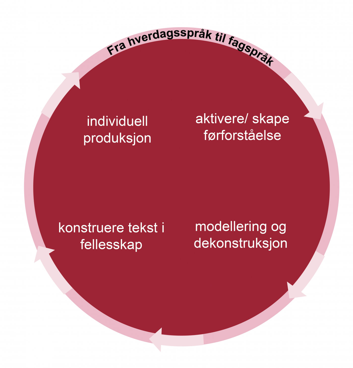Sirkelen for undervisning og læring i voksenopplæringen – NAFO