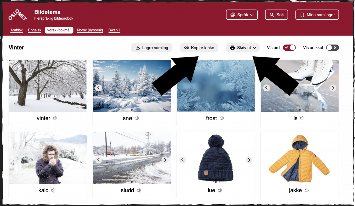 Nye funksjoner i Bildetema – NAFO