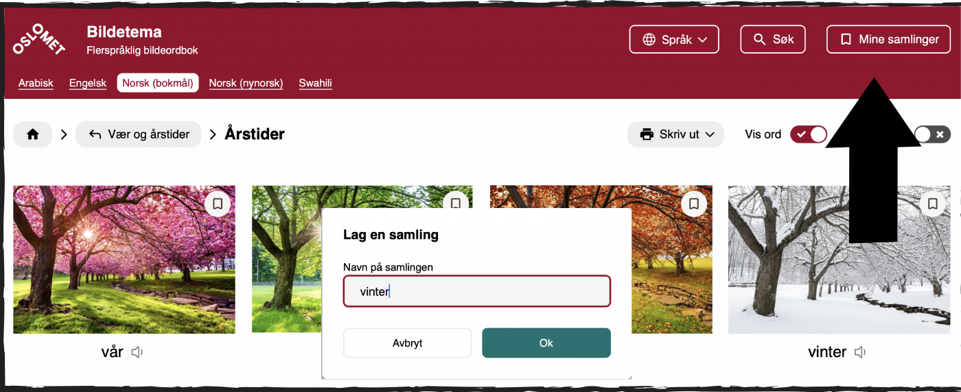 Nye funksjoner i Bildetema – NAFO